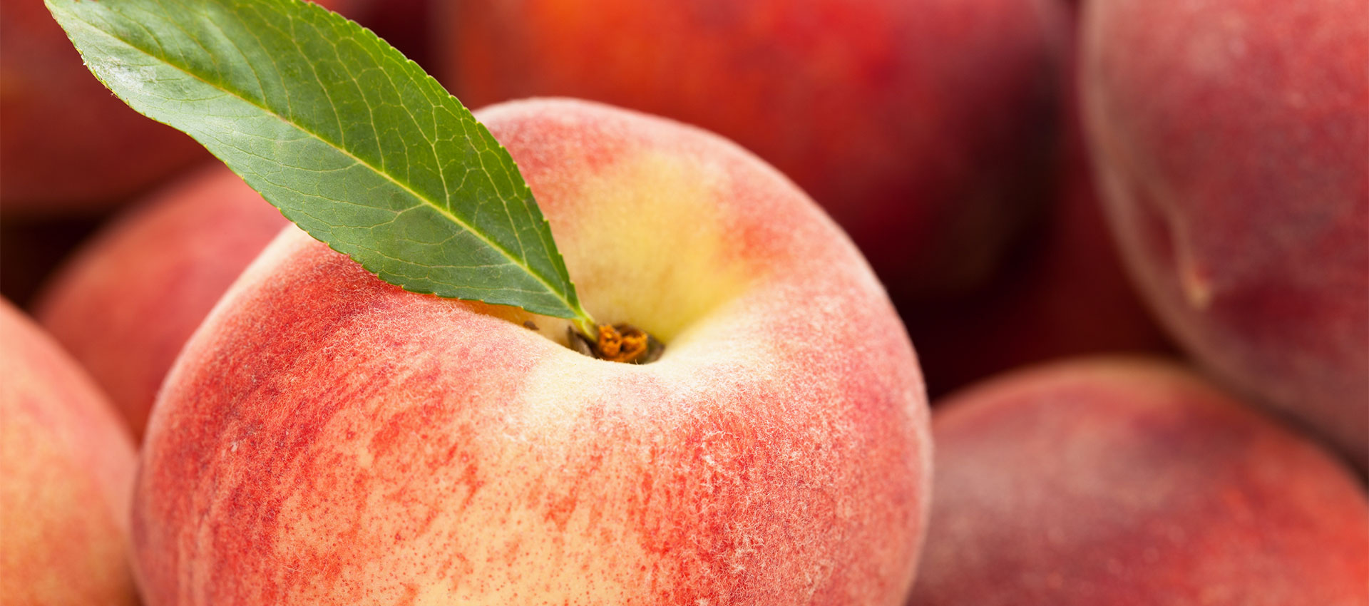 Peach Life | Welcome to Peach Life